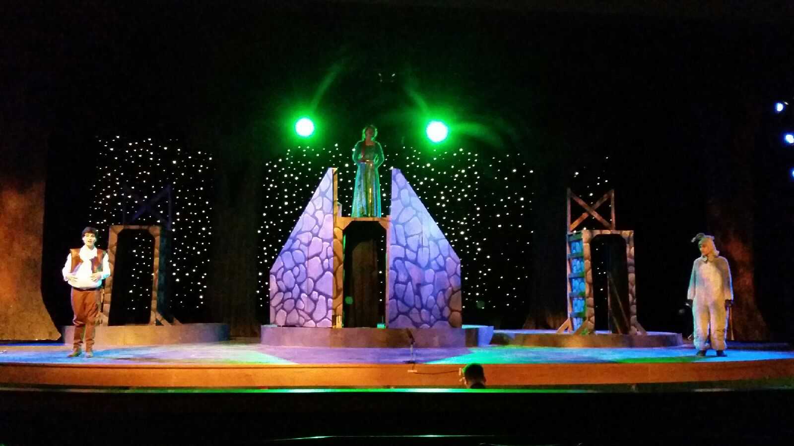Review: “Shrek The Musical” excites audiences on opening night – The Pitch